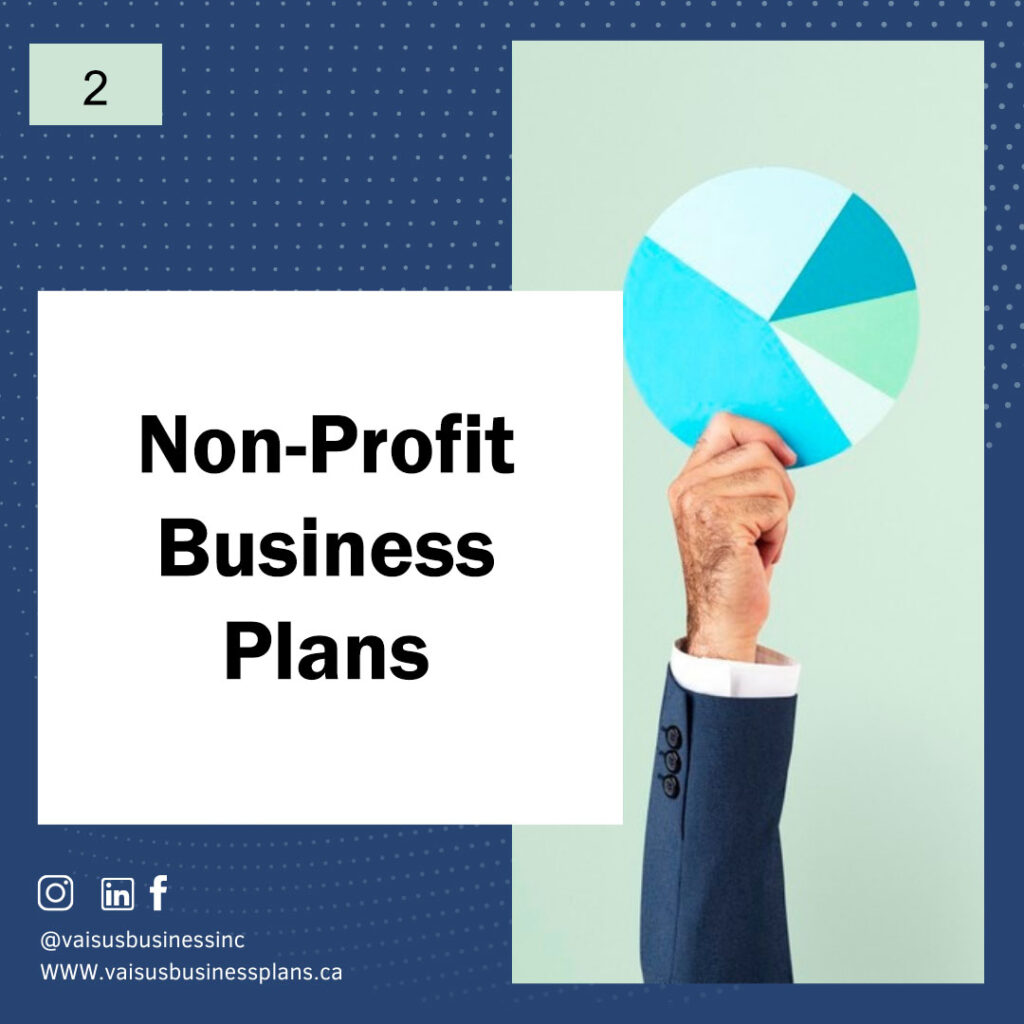 Non-profit Plans - Vaisus Consulting